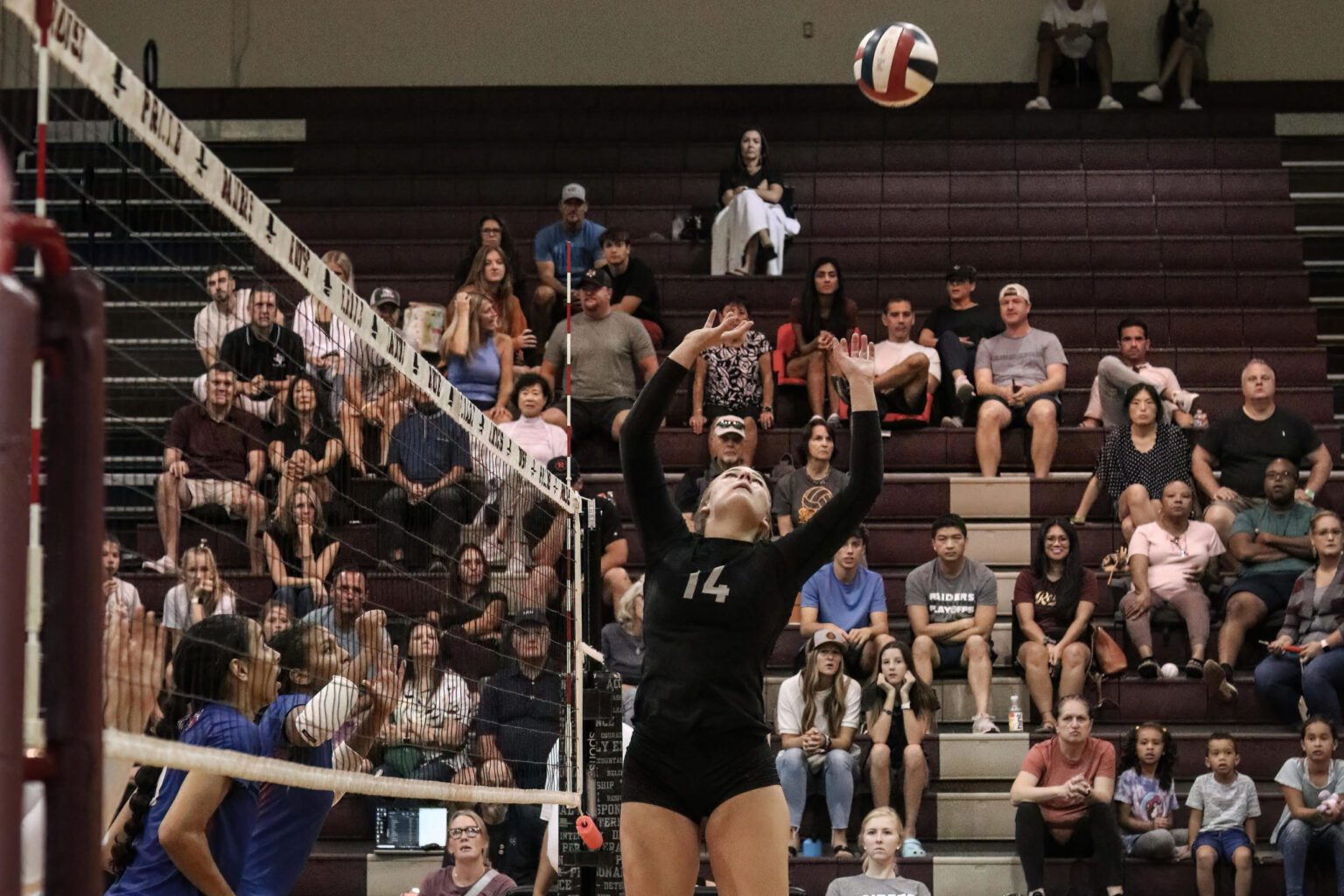 Savannah Skopal sets the table for Rouse volleyball’s offense - Just ...